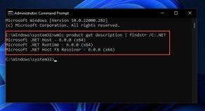 Download And Install .NET 6 LTS (Offline Installer)