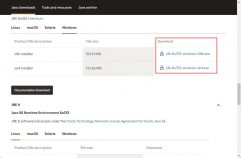 Download Java 8 Update 333 Offline Installers