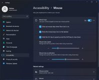 How To Make Windows 11 Accessible (Ease Of Access)
