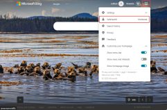 How To Enable/Disable SafeSearch On Device And Search Engines