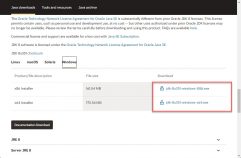 Download Java 8 Update 351 (Offline Installers)