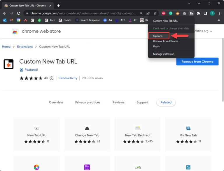 How To Set The Homepage And Startup Pages In Google Chrome (Windows ...