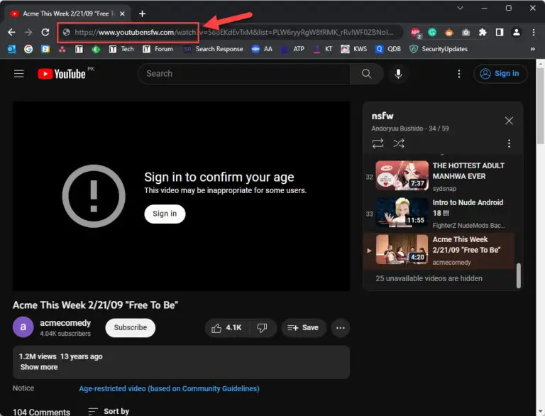 How To Watch Age Restricted Youtube Videos Without Logging In Computer