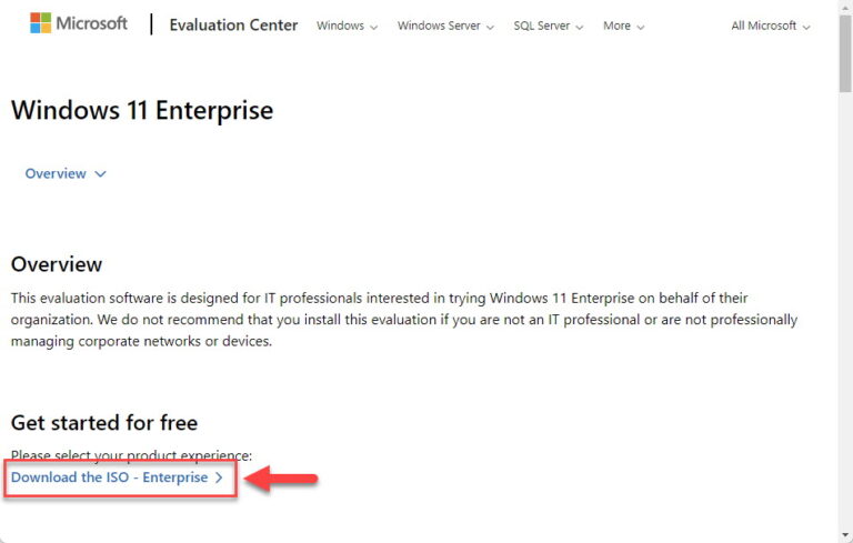 Download Windows 11 23H2 Enterprise ISO File