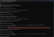 How To Repair Windows Image Or Install Feature On Demand (FoD) From Alternate Source/Path